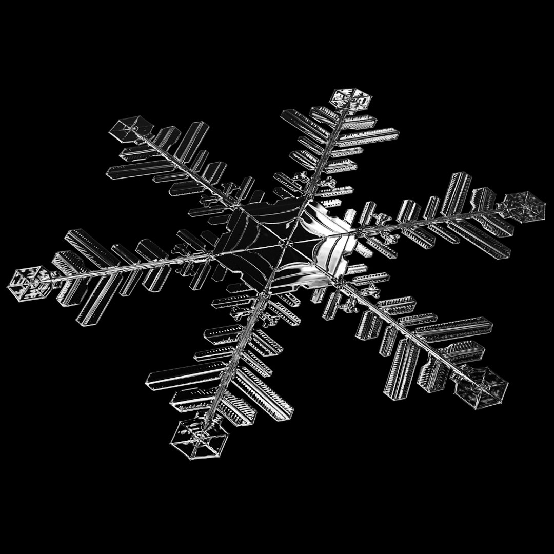 Snowflake Snow 3d Model