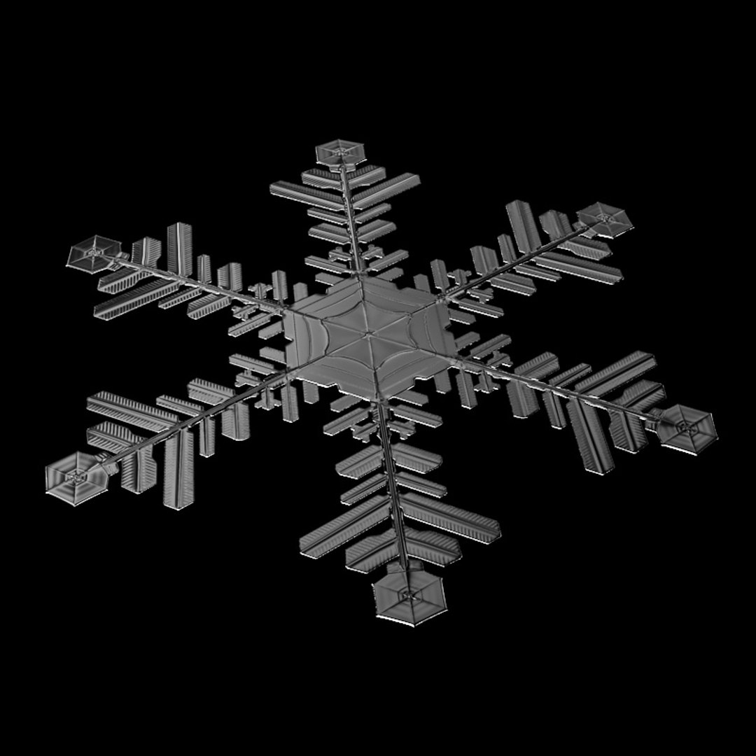 Snowflake Snow 3d Model