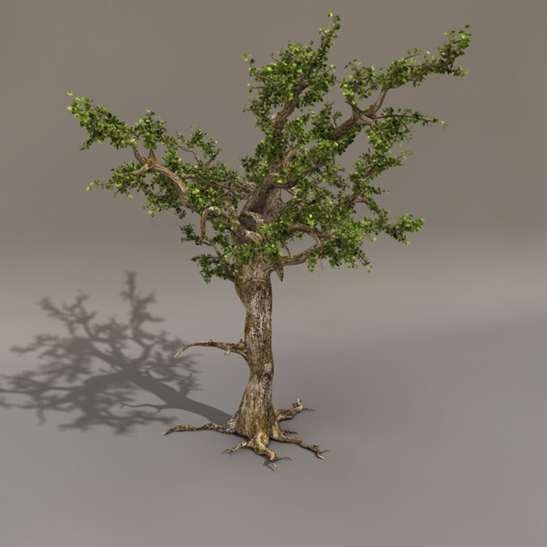 3d scary tree leaf model