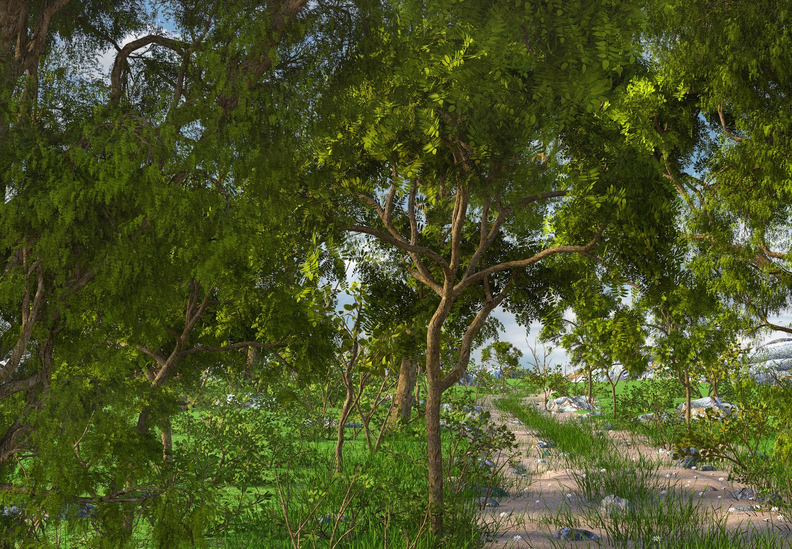 Path Forest Green 3D - TurboSquid 1426857