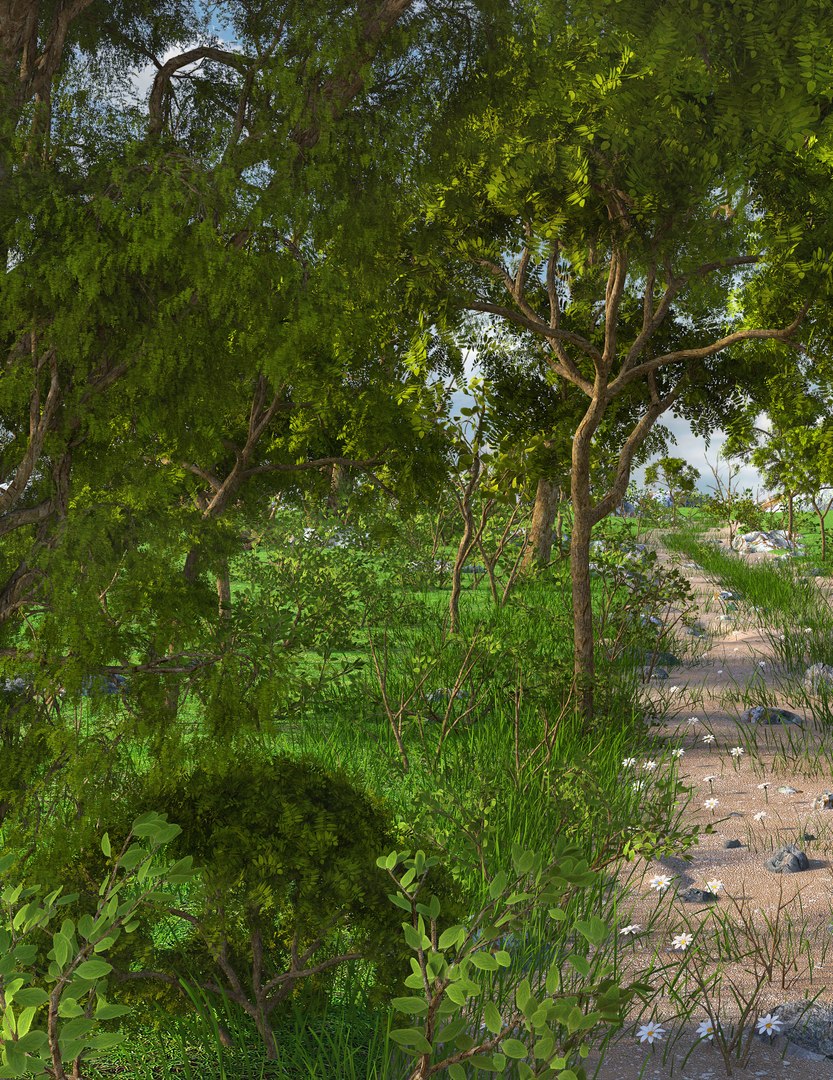 Path Forest Green 3D - TurboSquid 1426857