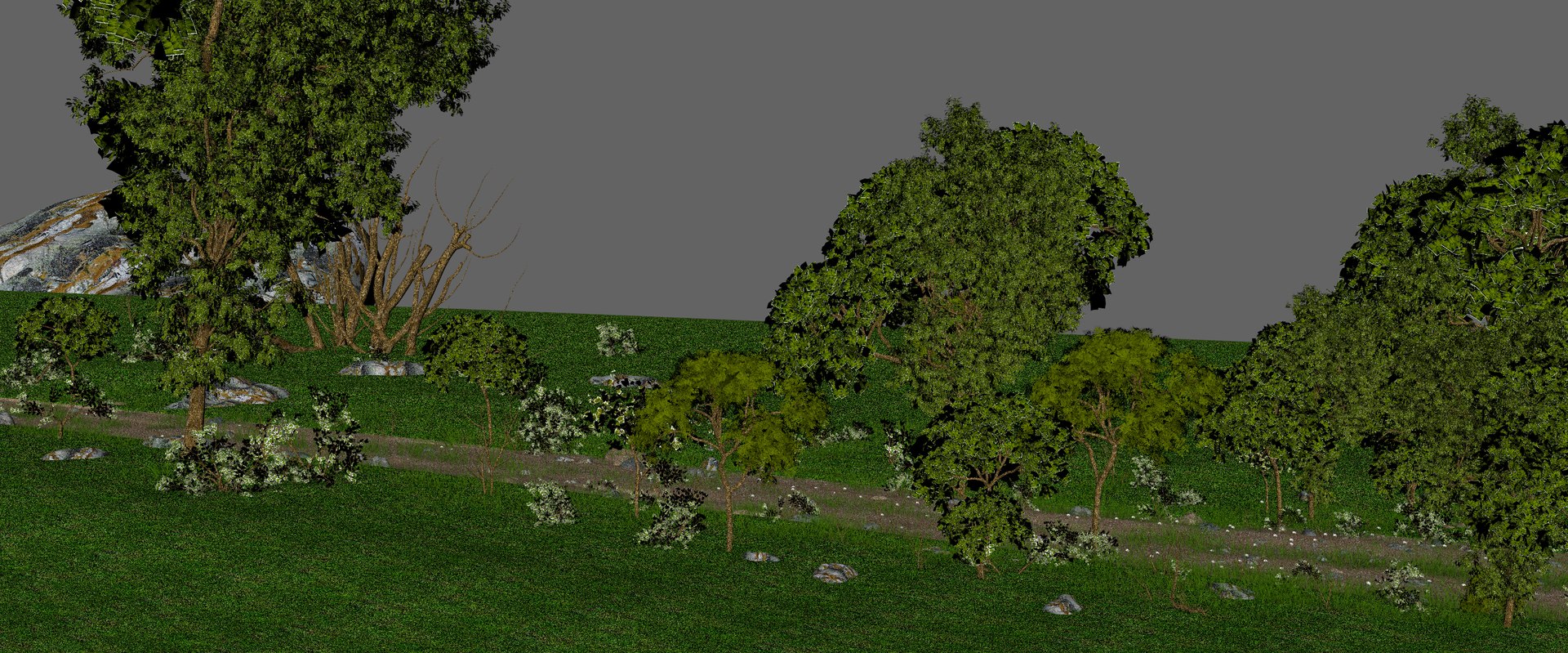 Path Forest Green 3D - TurboSquid 1426857