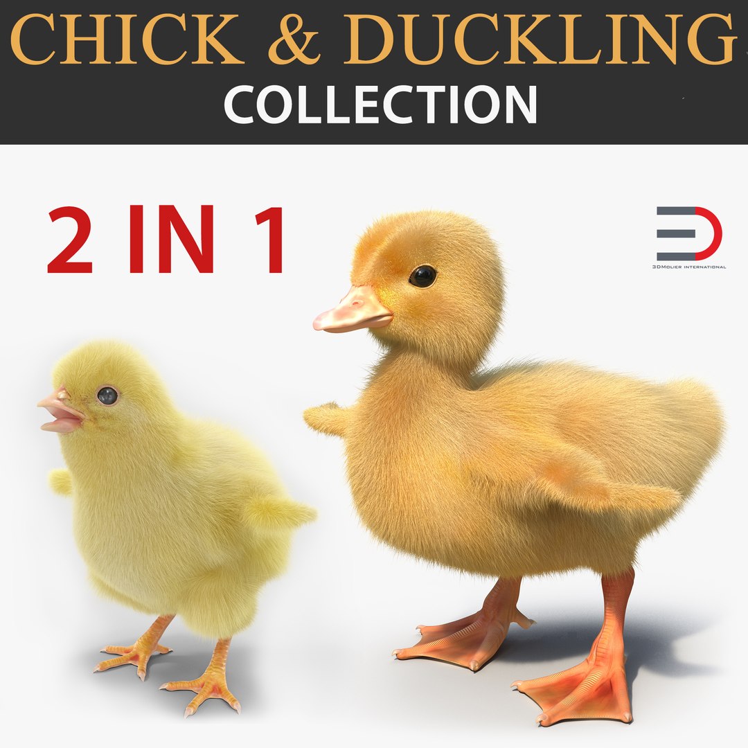 3D Chick Duckling - TurboSquid 1204729