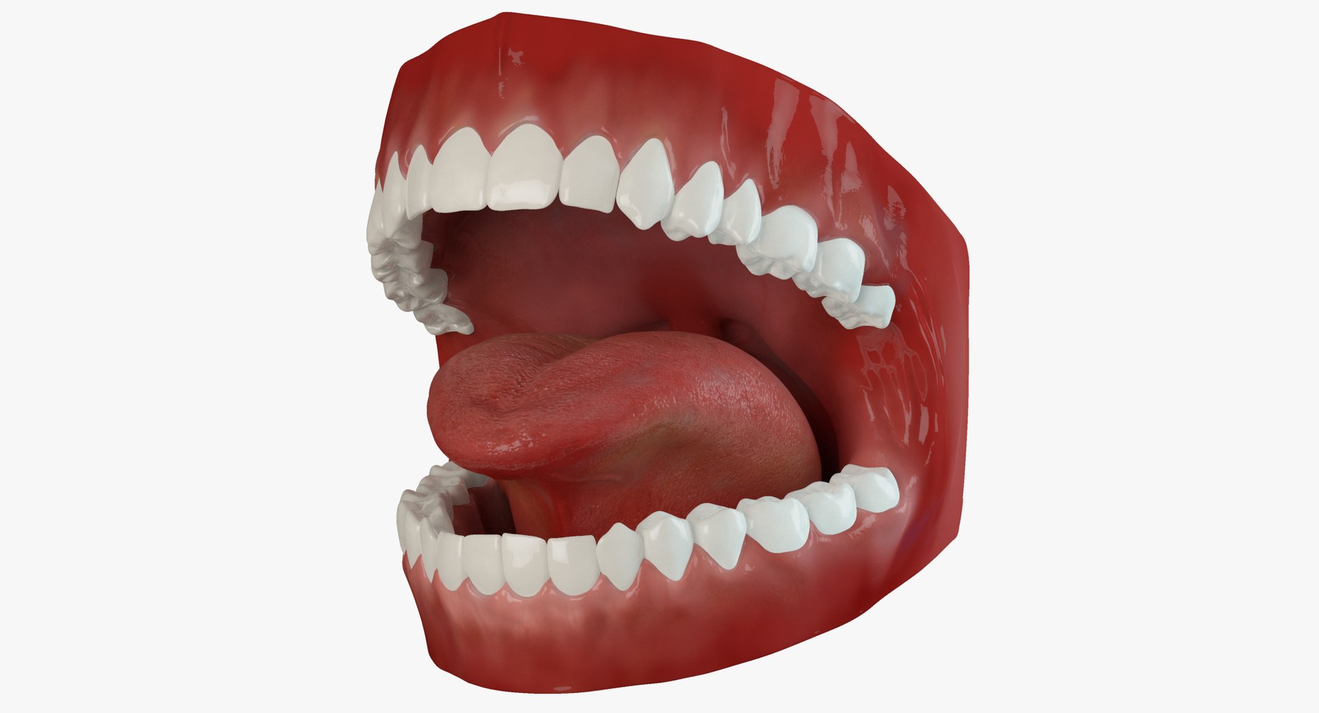 max teeth rigged human