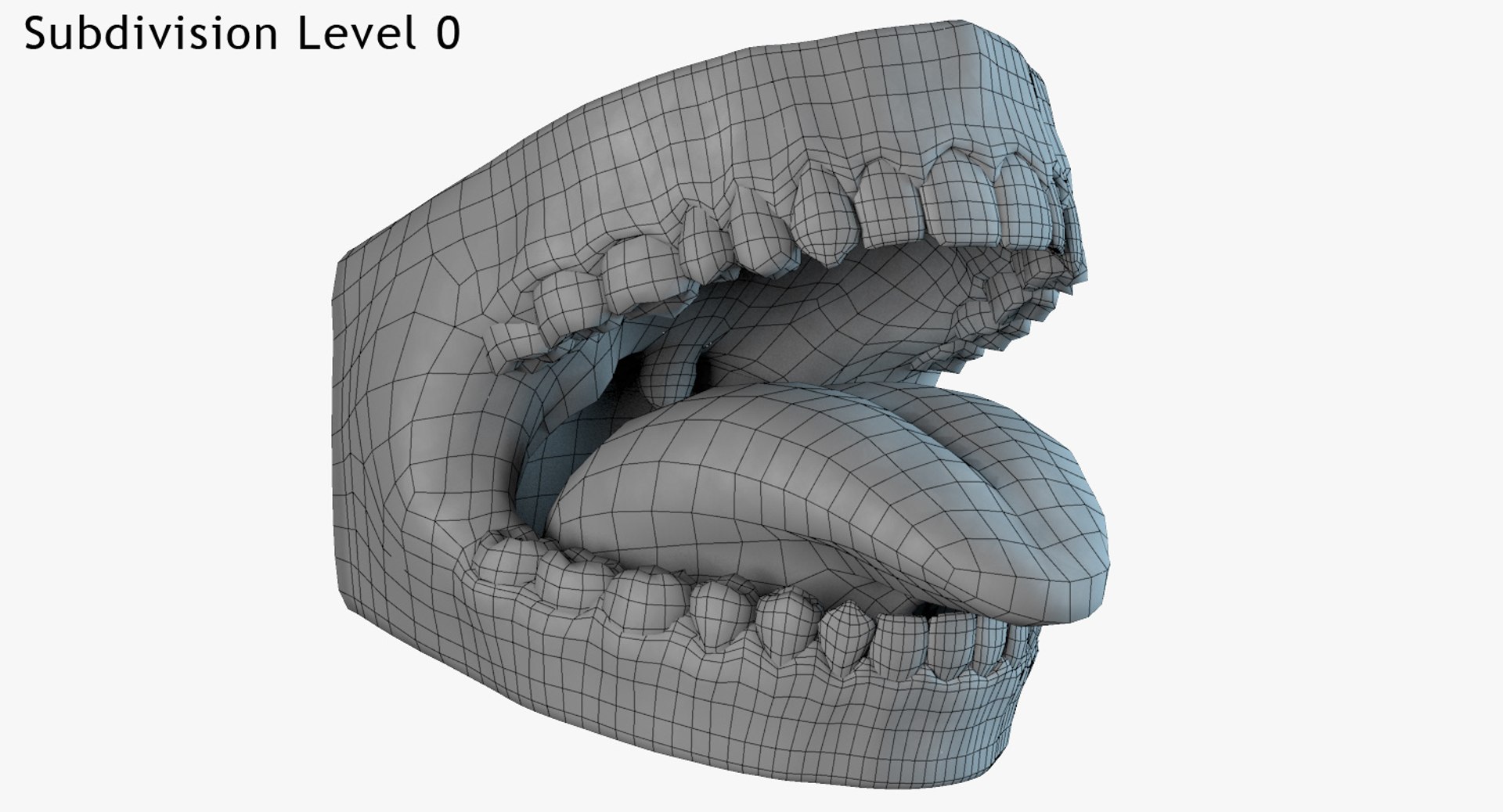 Max Teeth Rigged Human