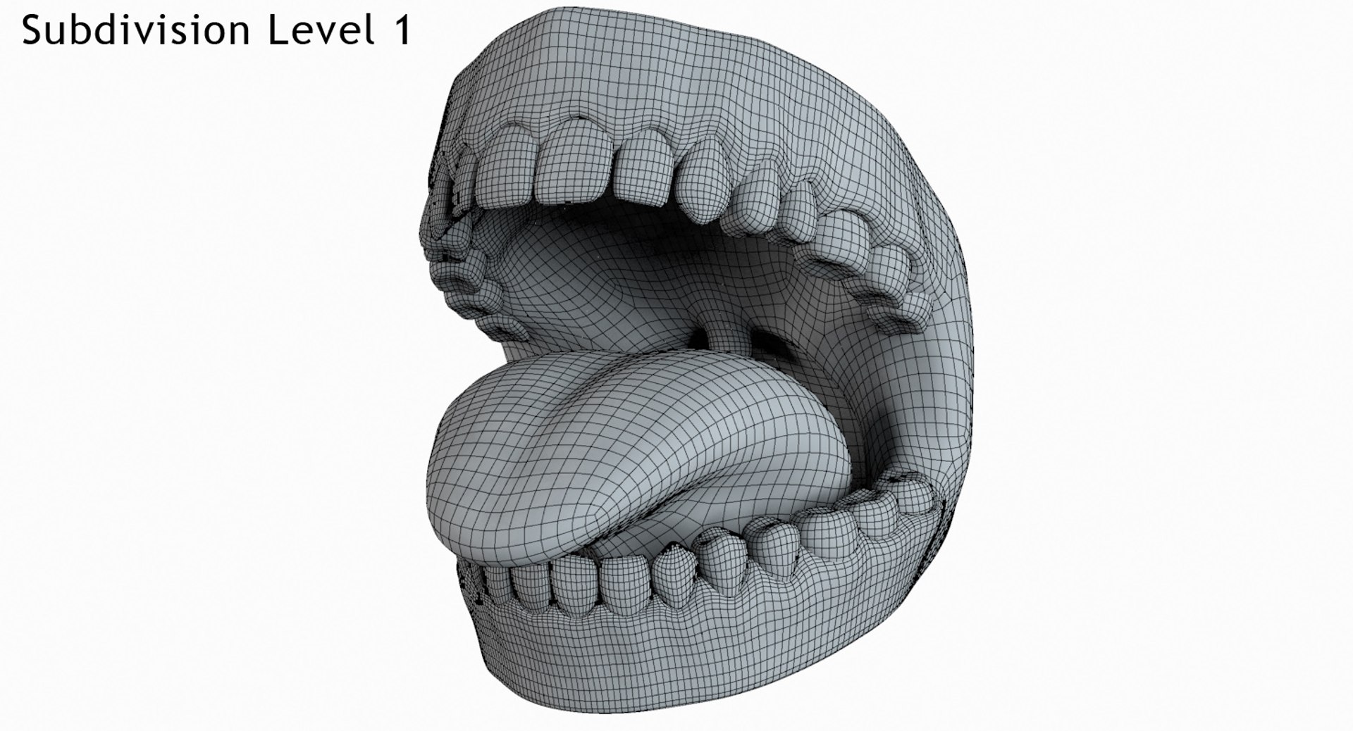 Max Teeth Rigged Human