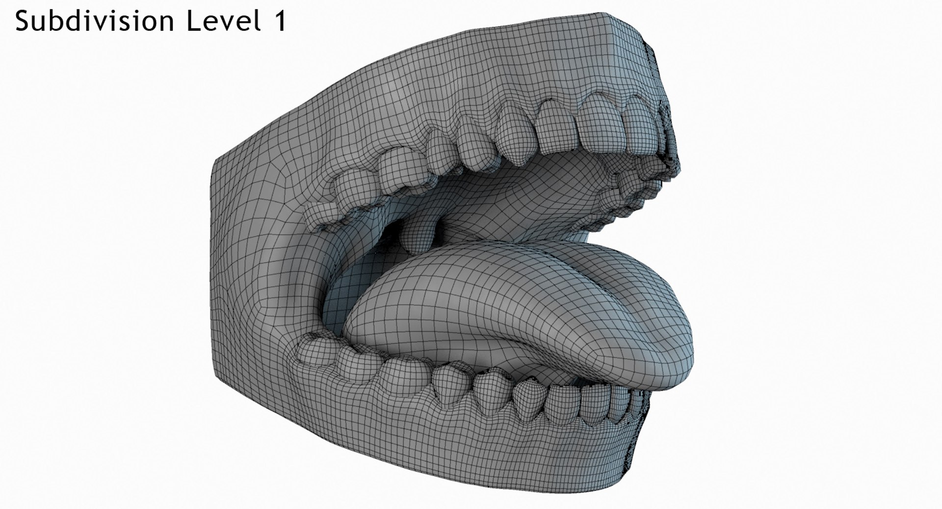 Max Teeth Rigged Human