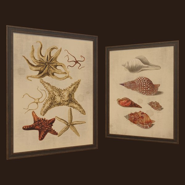 Free Picture Frame 3D Models for Download | TurboSquid