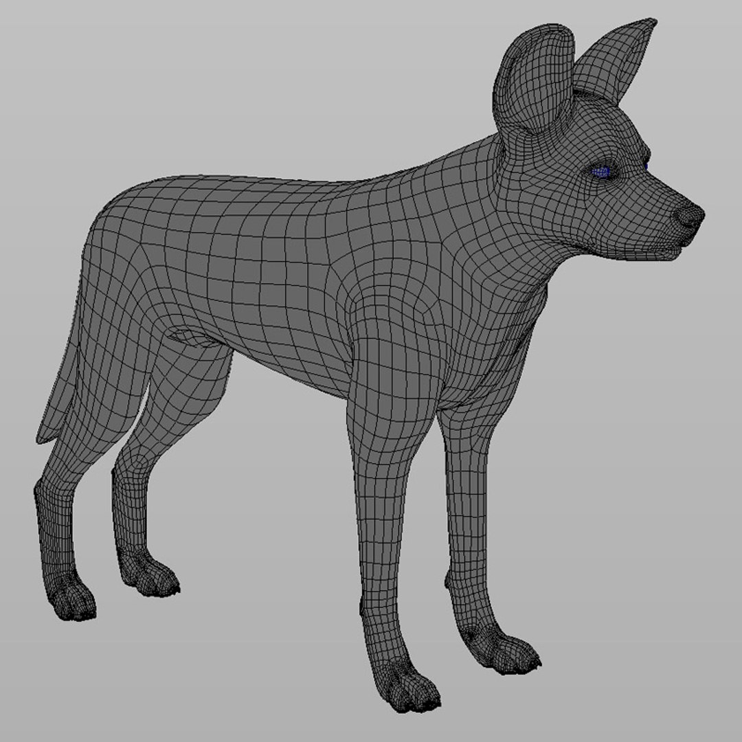 3d Model Realistic African Wild Dog