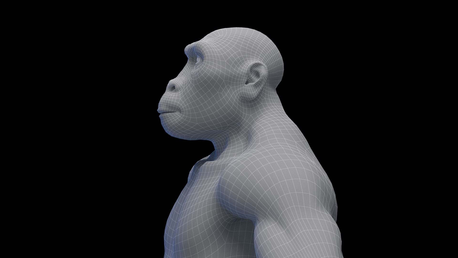 3D Australopithecus Afarensis Male - TurboSquid 2098658