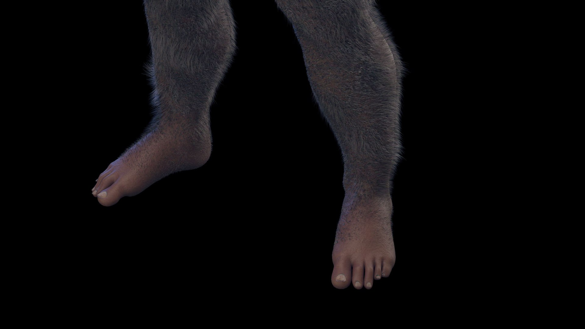 3D Australopithecus Afarensis Male - TurboSquid 2098658