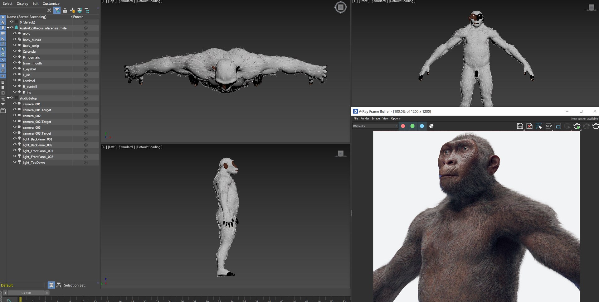 3D Australopithecus Afarensis Male - TurboSquid 2098658