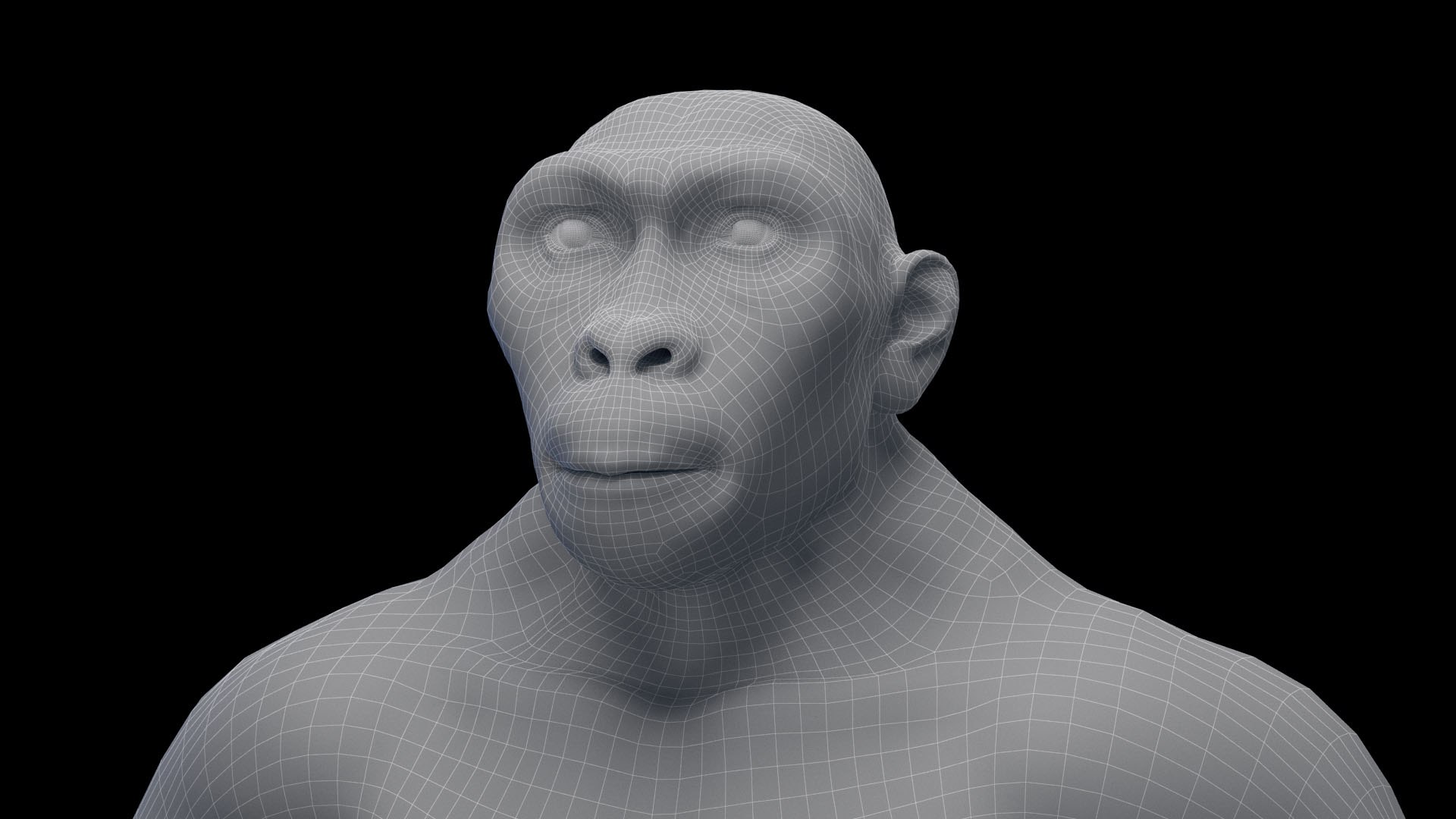 3D Australopithecus Afarensis Male - TurboSquid 2098658