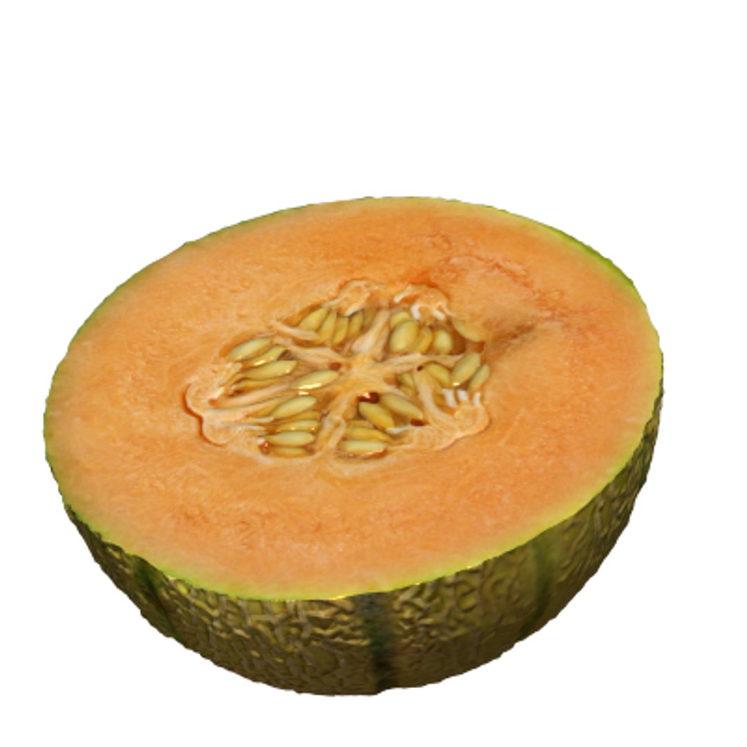 Melon Fruit 3d Model