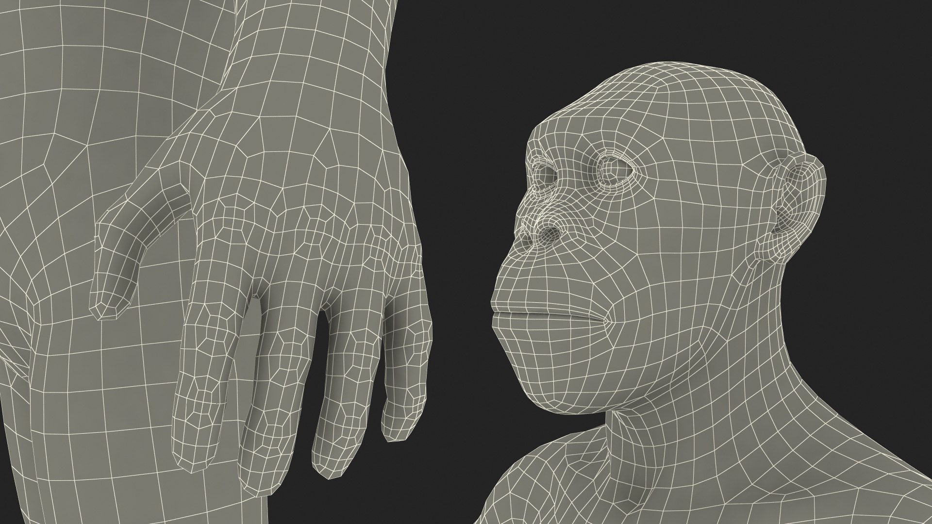 Anatomical Model Of Australopithecus Female Fur Rigged 3D - TurboSquid ...