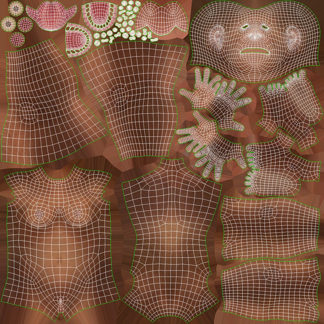 Anatomical Model Of Australopithecus Female Fur Rigged 3D - TurboSquid ...