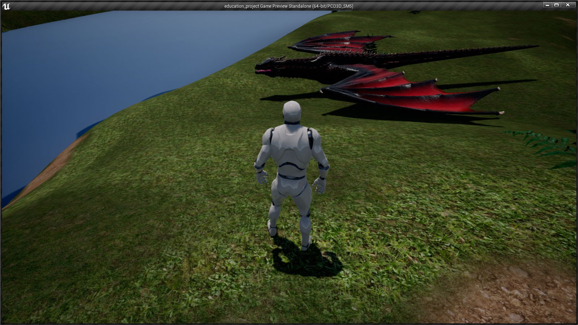 3D Fly Animation - TurboSquid 1433694