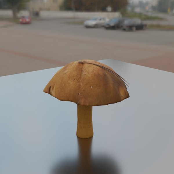 Free 3D Mushroom Models | TurboSquid