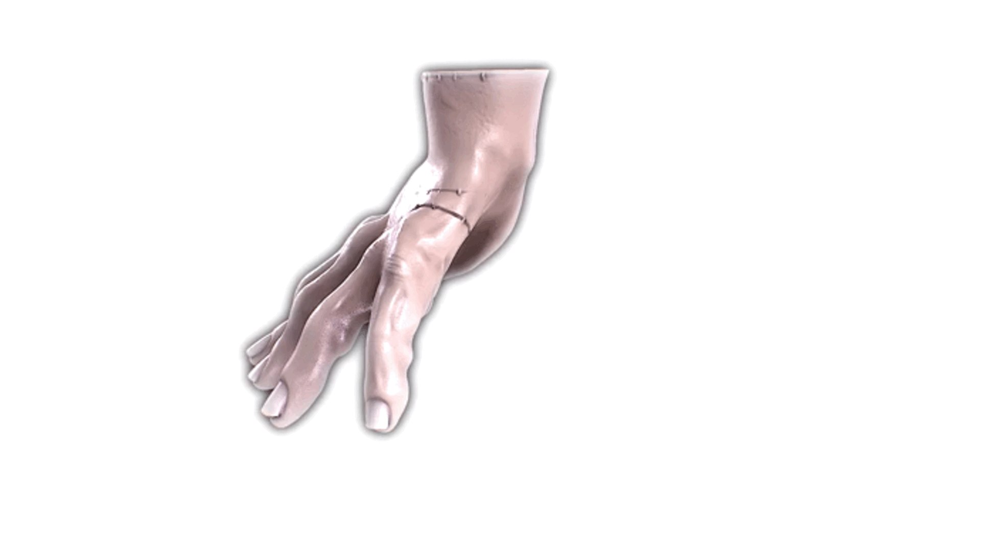 Free 3D Wednesday Thing Hand Free Model - TurboSquid 2034313