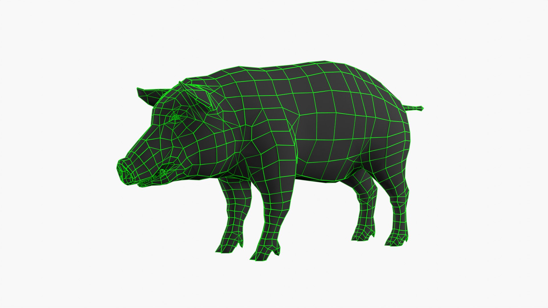 3D Pig - TurboSquid 2370550