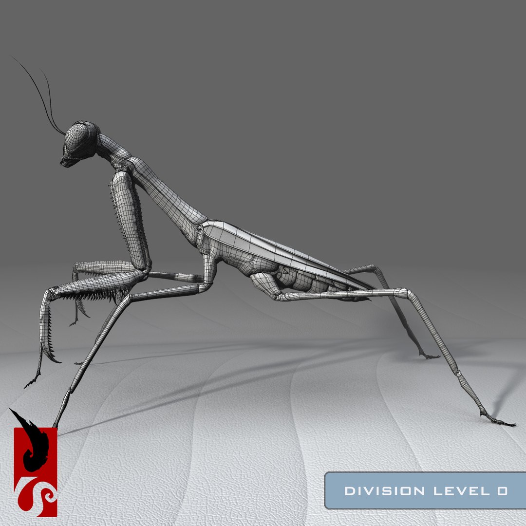 California Praying Mantis - Obj