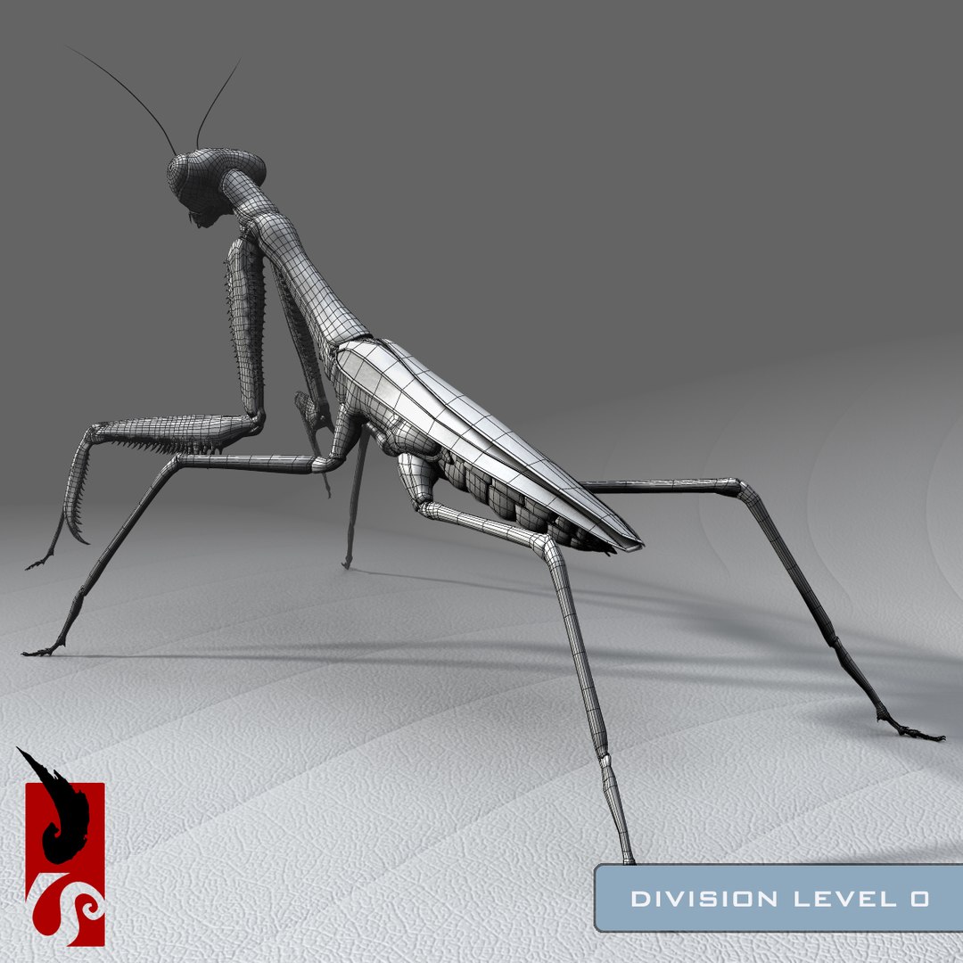 California Praying Mantis - Obj