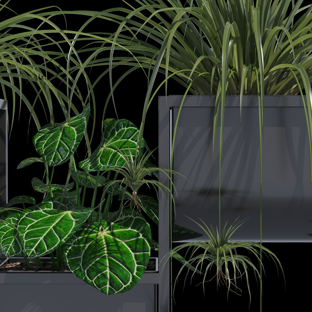 3D Nyx Planter Decor - TurboSquid 1524314