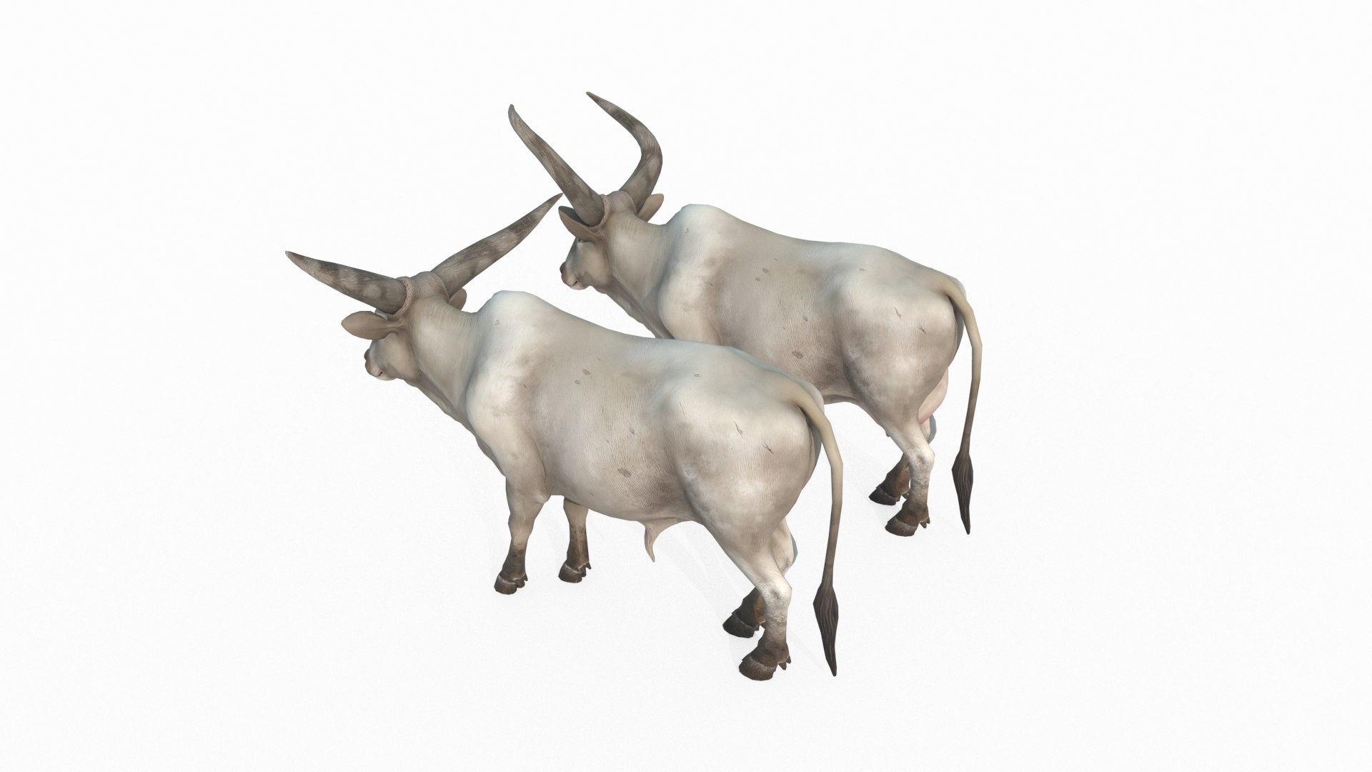 Ancient Oxen For Farming 3D Model - TurboSquid 2290428