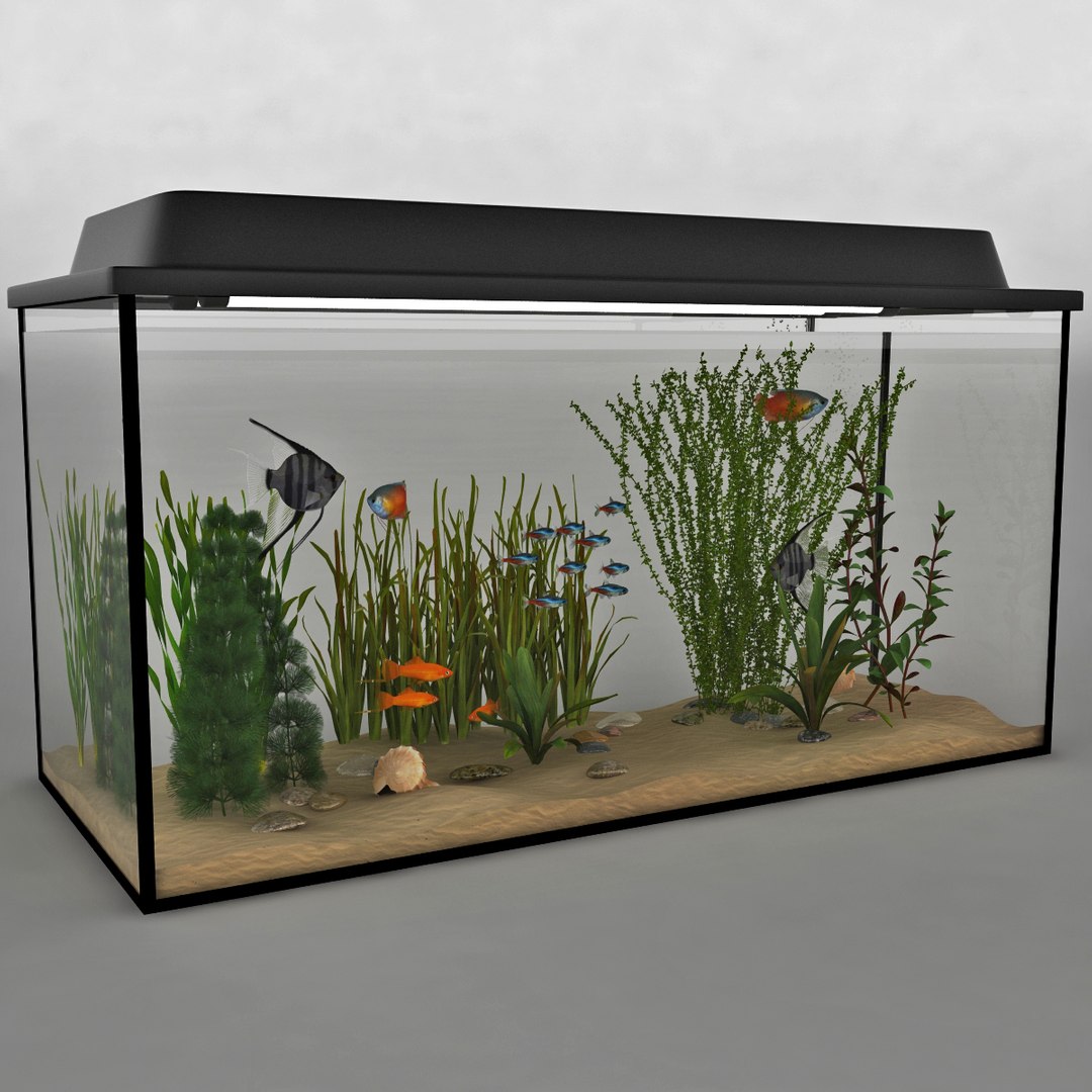 3d aquarium v11 model