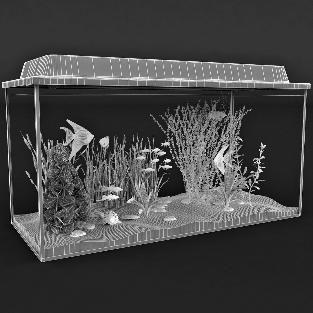 3d aquarium v11 model