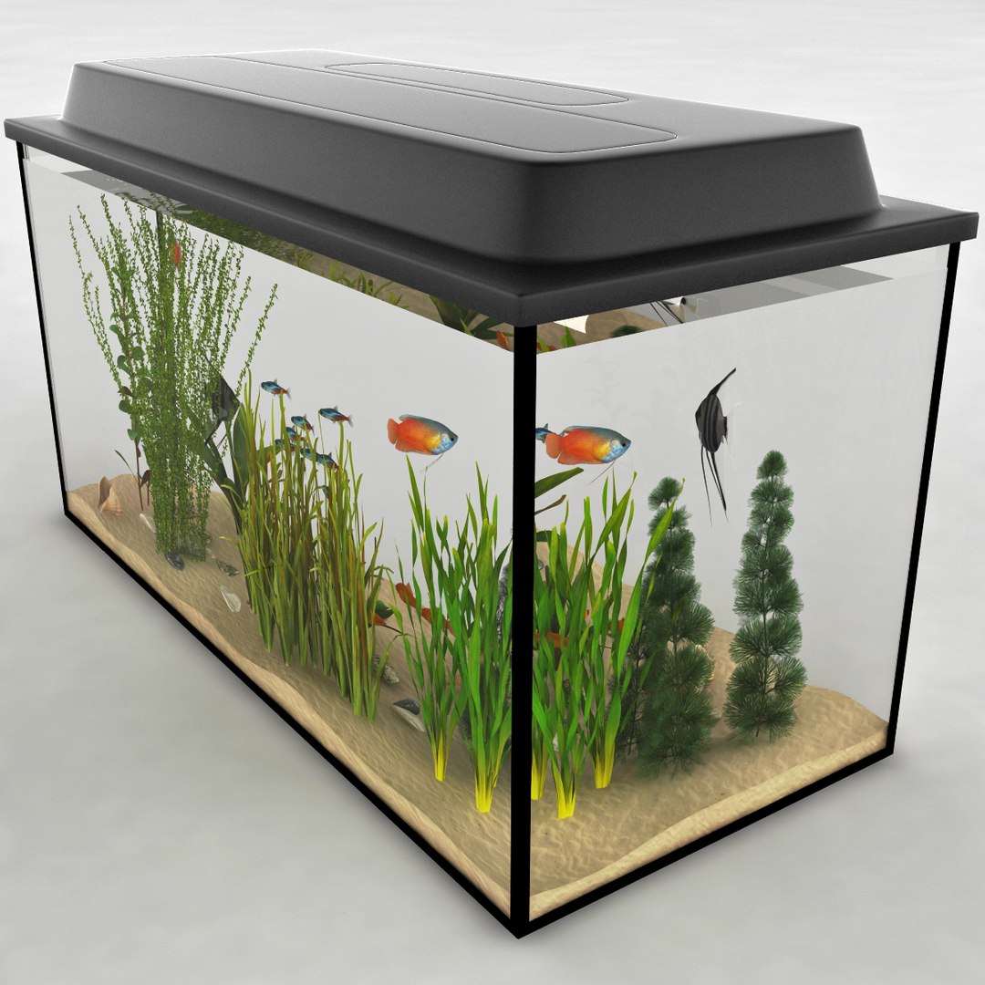 3d aquarium v11 model