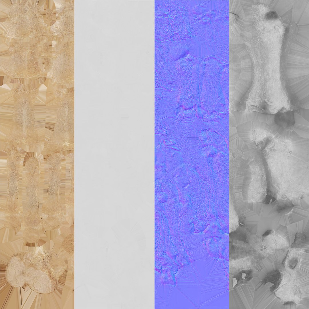 Human hand ulna radius 3D model - TurboSquid 1657083