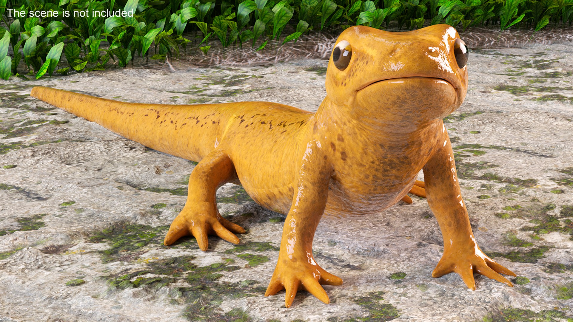 Smooth Newt Rigged For Cinema 4D 3D Model - TurboSquid 2157028