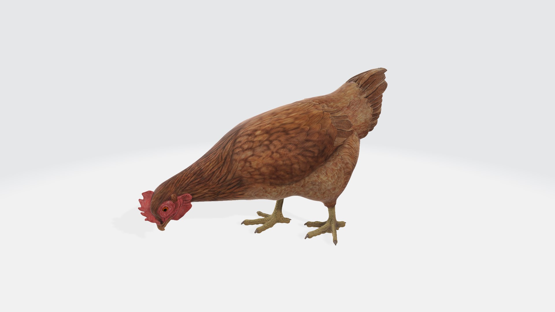 Pecking Chicken 3D Model - TurboSquid 2401904