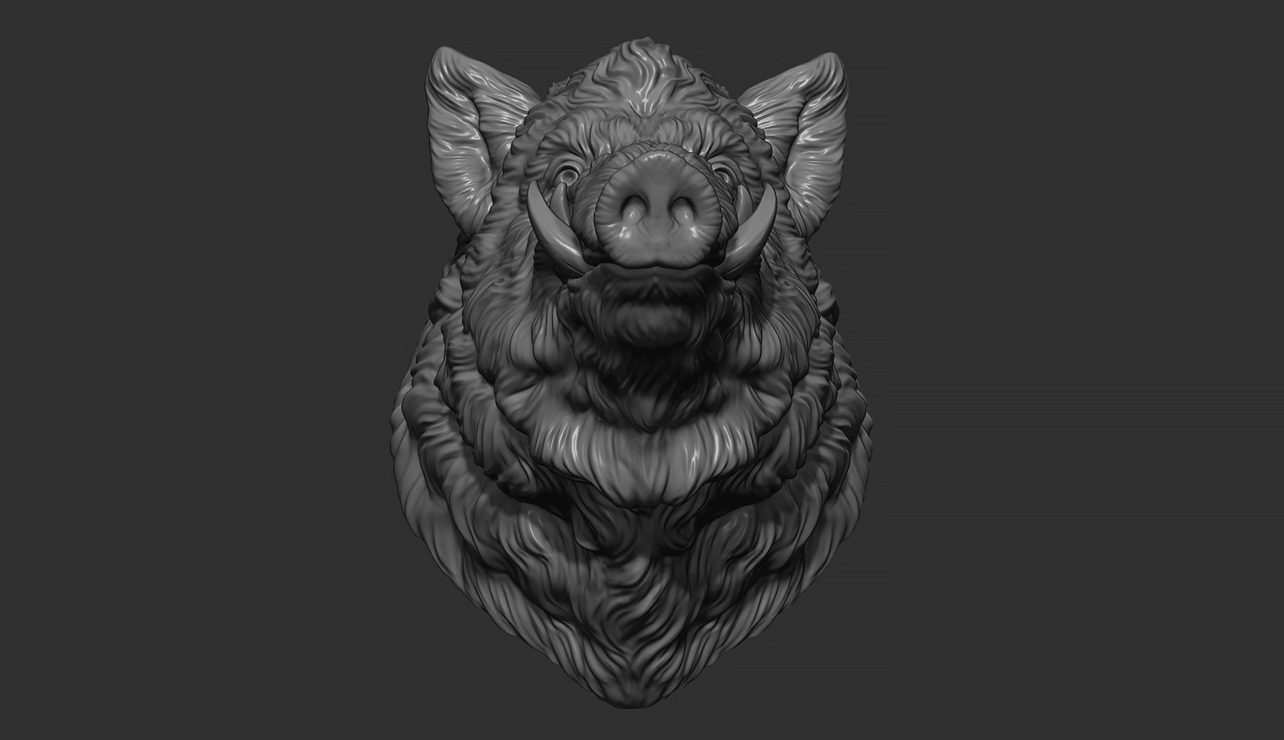 3D Model Wild Boar Head - TurboSquid 1900803