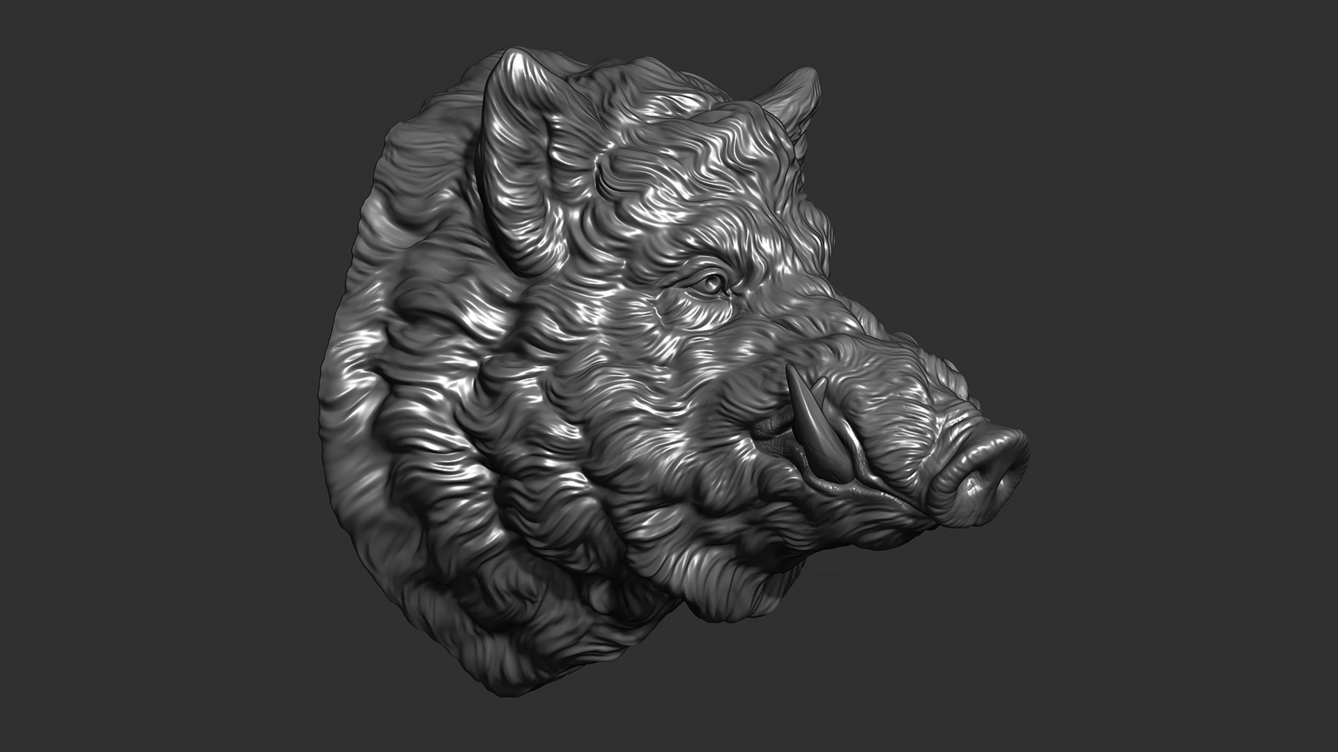 3D Model Wild Boar Head - TurboSquid 1900803