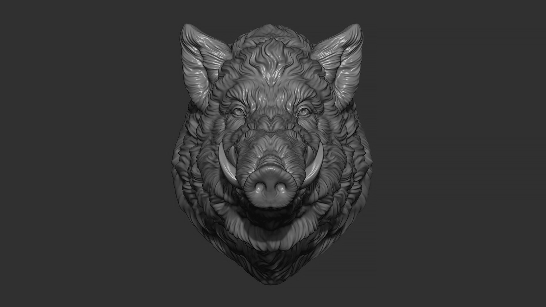 3D Model Wild Boar Head - TurboSquid 1900803