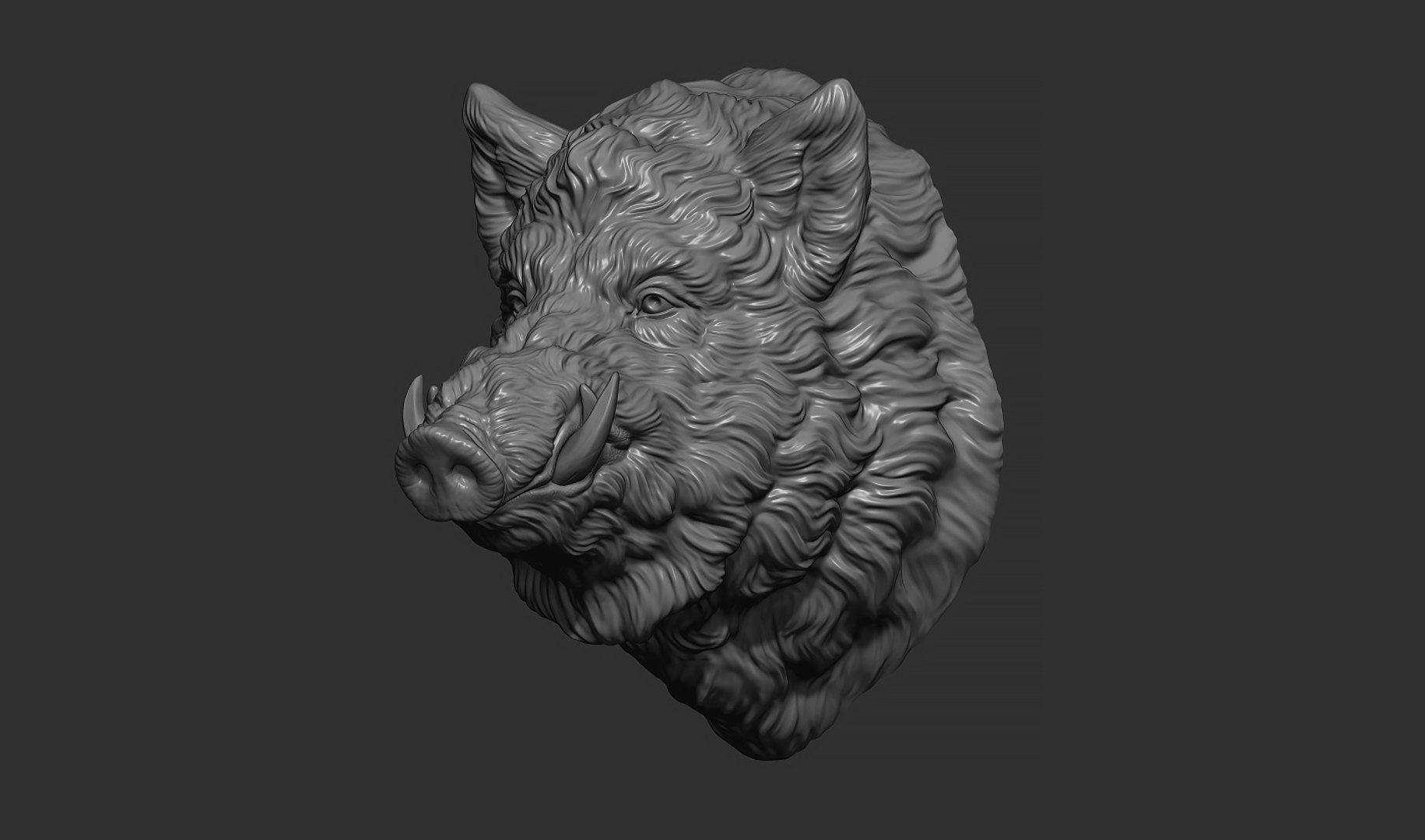 3D Model Wild Boar Head - TurboSquid 1900803