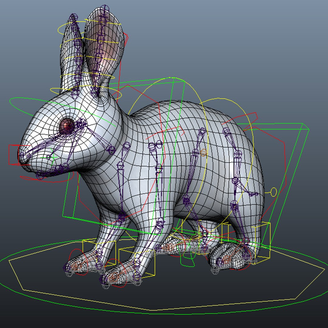 Maya Rabbit White Fur Animation