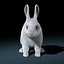 Maya Rabbit White Fur Animation