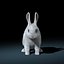 maya rabbit white fur animation