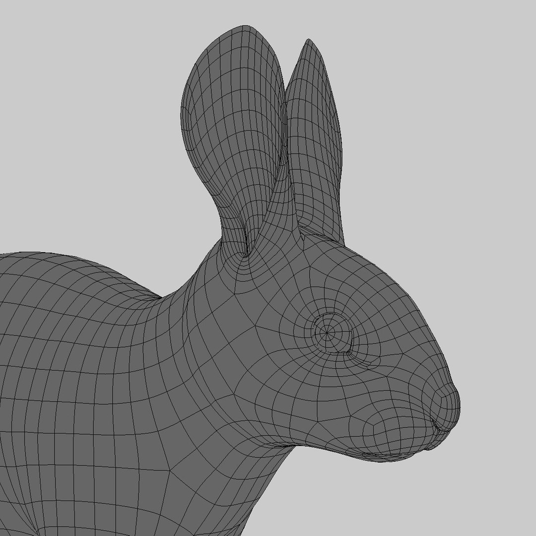 Maya Rabbit White Fur Animation