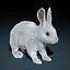 Maya Rabbit White Fur Animation