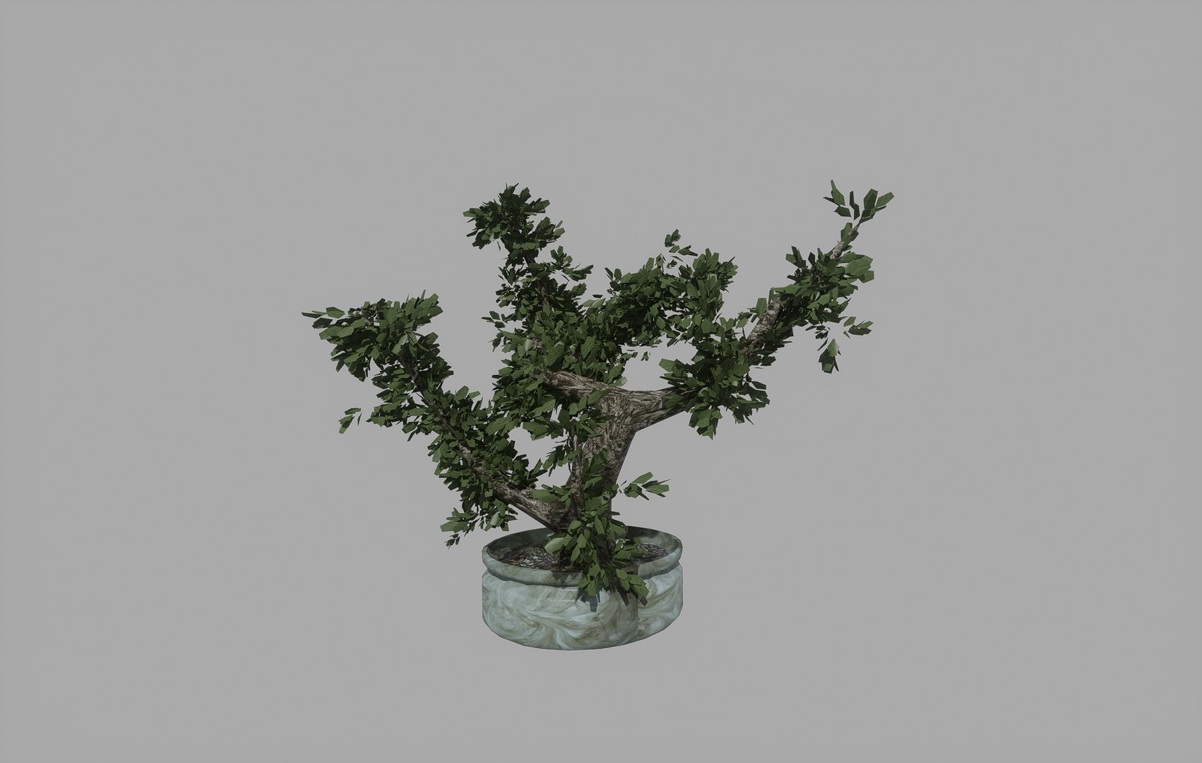 Zen Bonsai 3D Model - TurboSquid 2092651