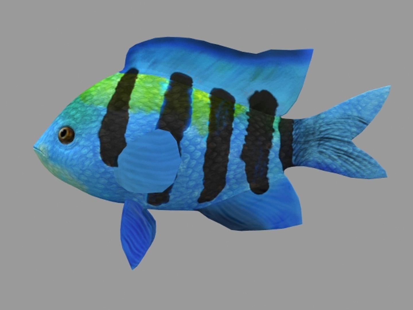 Animations Fish 3D - TurboSquid 1391664