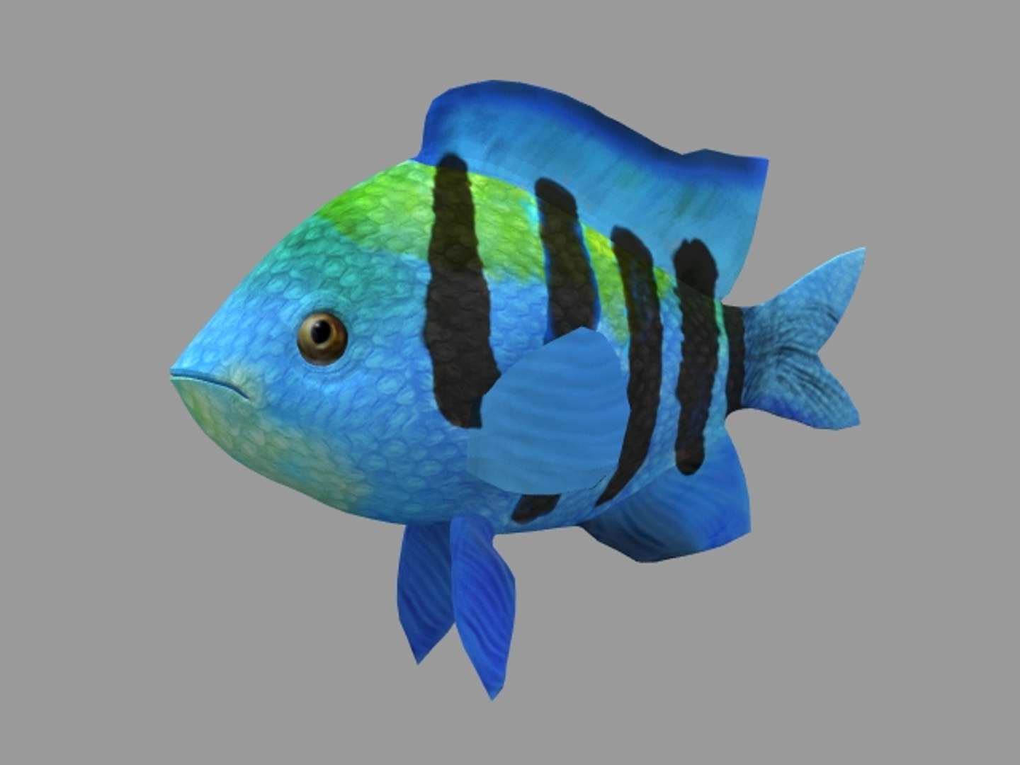 Animations Fish 3D - TurboSquid 1391664