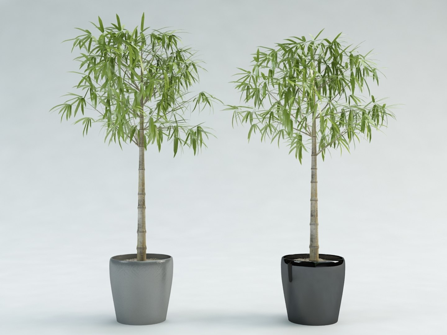 3d Model Of Bamboo Tree
