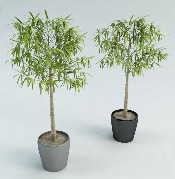 3d model of bamboo tree