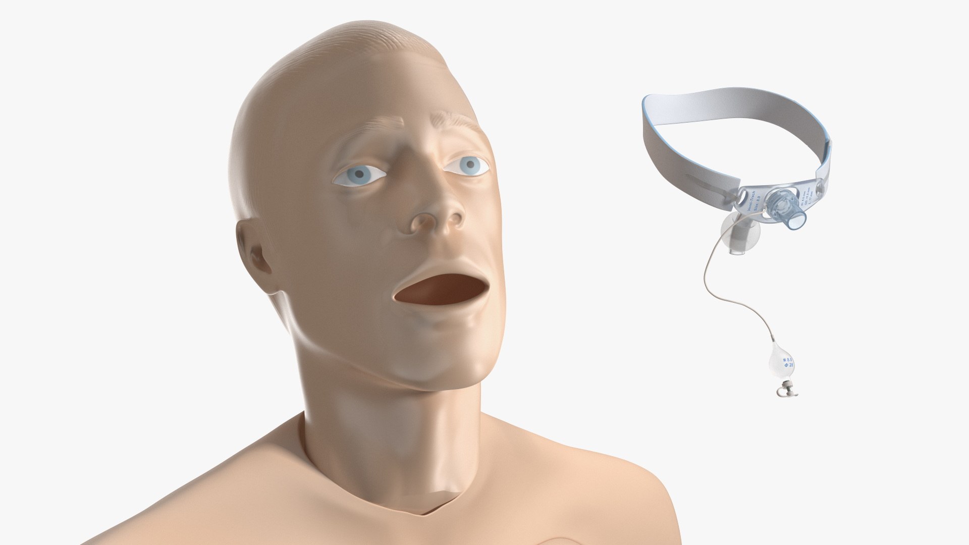 3D Model Adult Airway Simulation Manikin With Tracheostomy Port ...