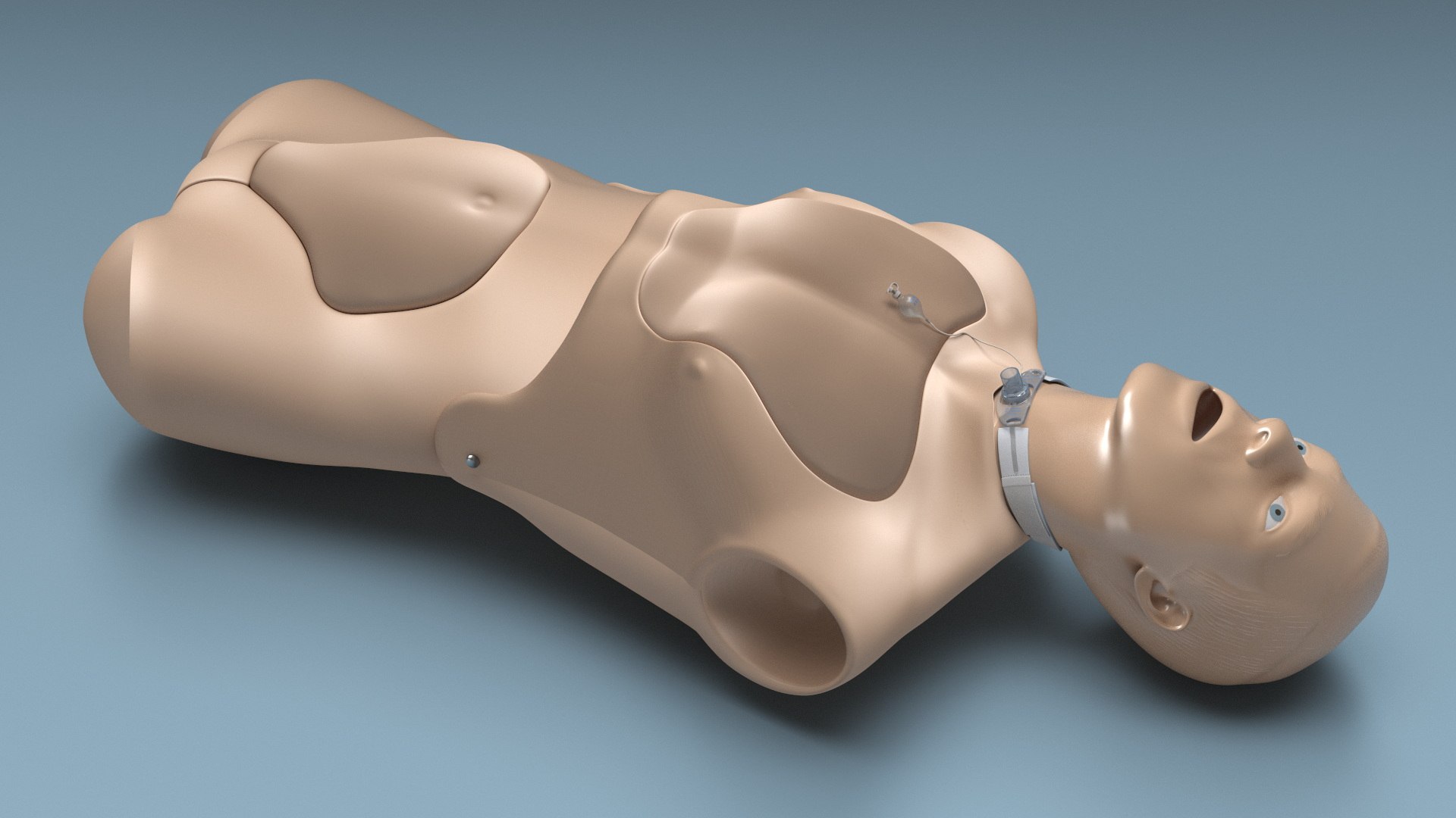 3D Model Adult Airway Simulation Manikin With Tracheostomy Port - TurboSquid 2406188